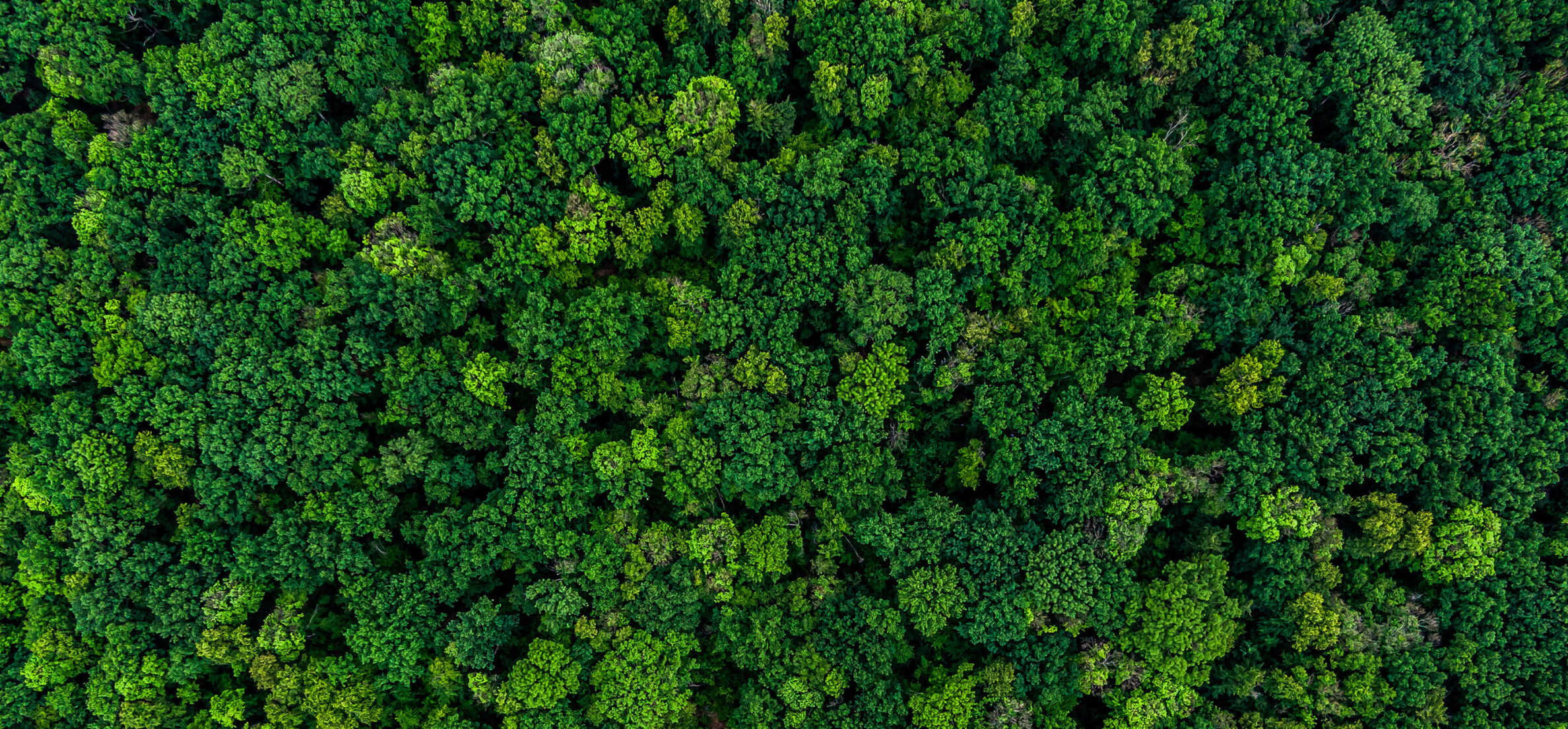 Holistic Sustainability Framework - Horváth