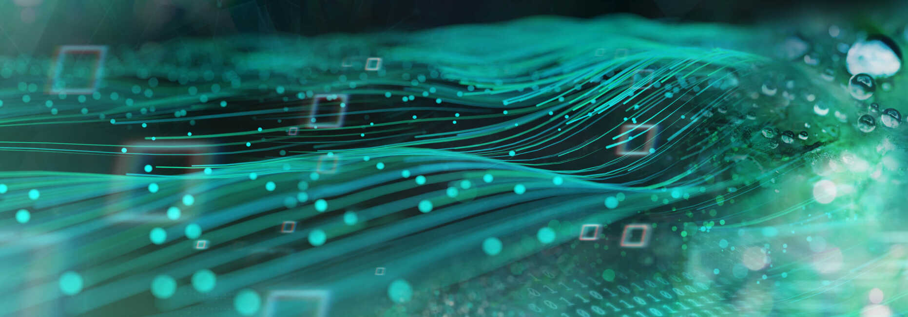 Green Transformation - Horváth